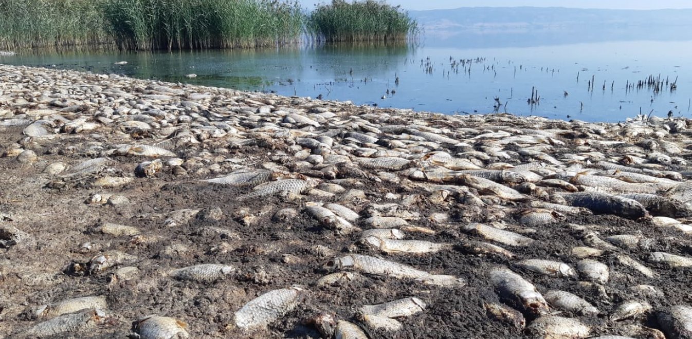 Τα τέσσερα μέτρα για τη διάσωση της λίμνης Κορώνεια - teetkm.gr